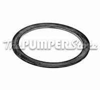 Sight Eyes Gasket (NEO) - 5" | The Pumper Store